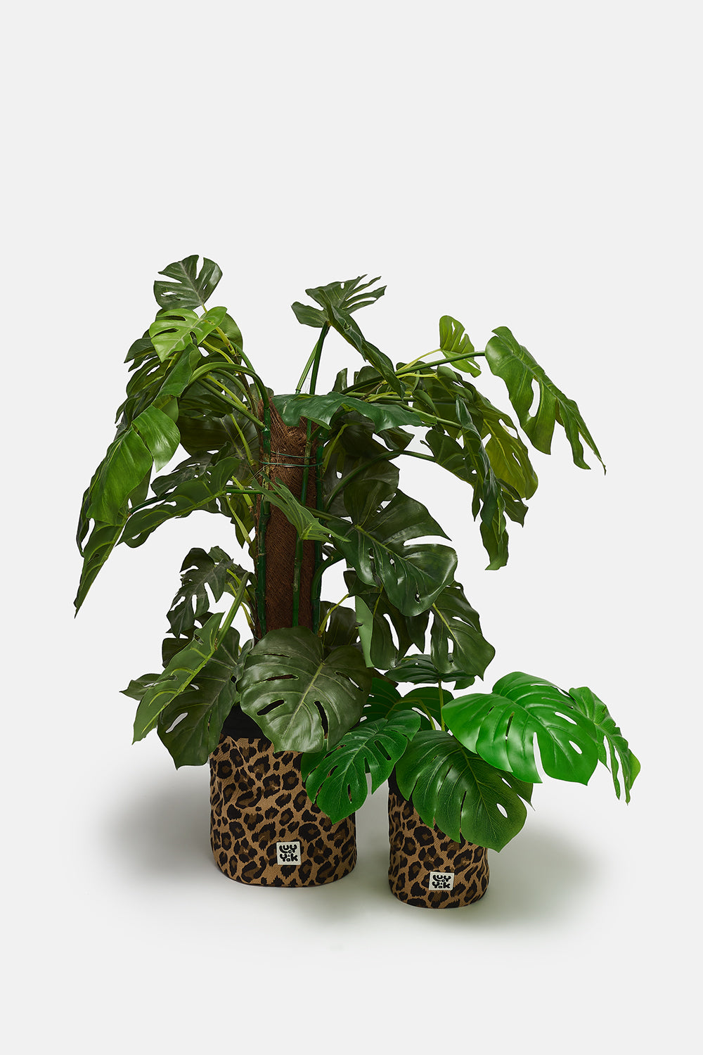 Runa - Plant Pot Covers in Cotton Leo Print (2 Pack) – Lucy & Yak