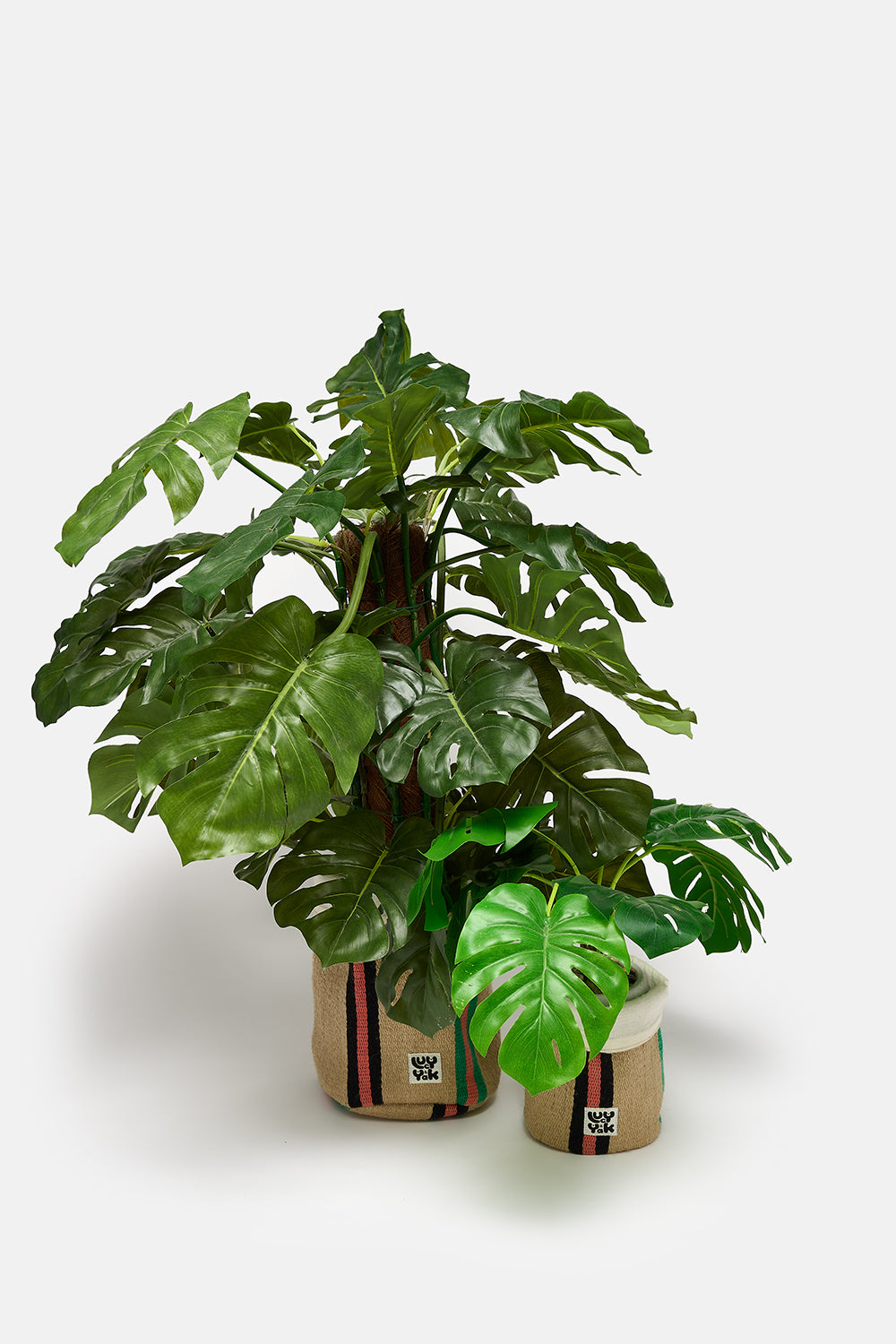 Organic Accessories: Socks, Bags & More | Lucy & Yak – Page 3