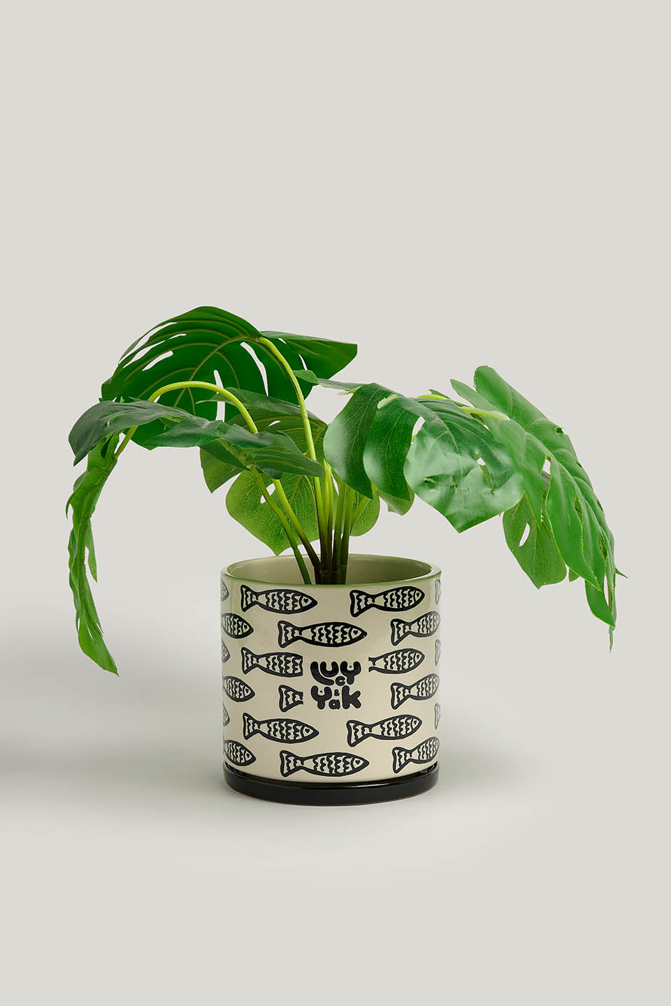 Fern - Plant Pot in Black & White Minnow – Lucy & Yak